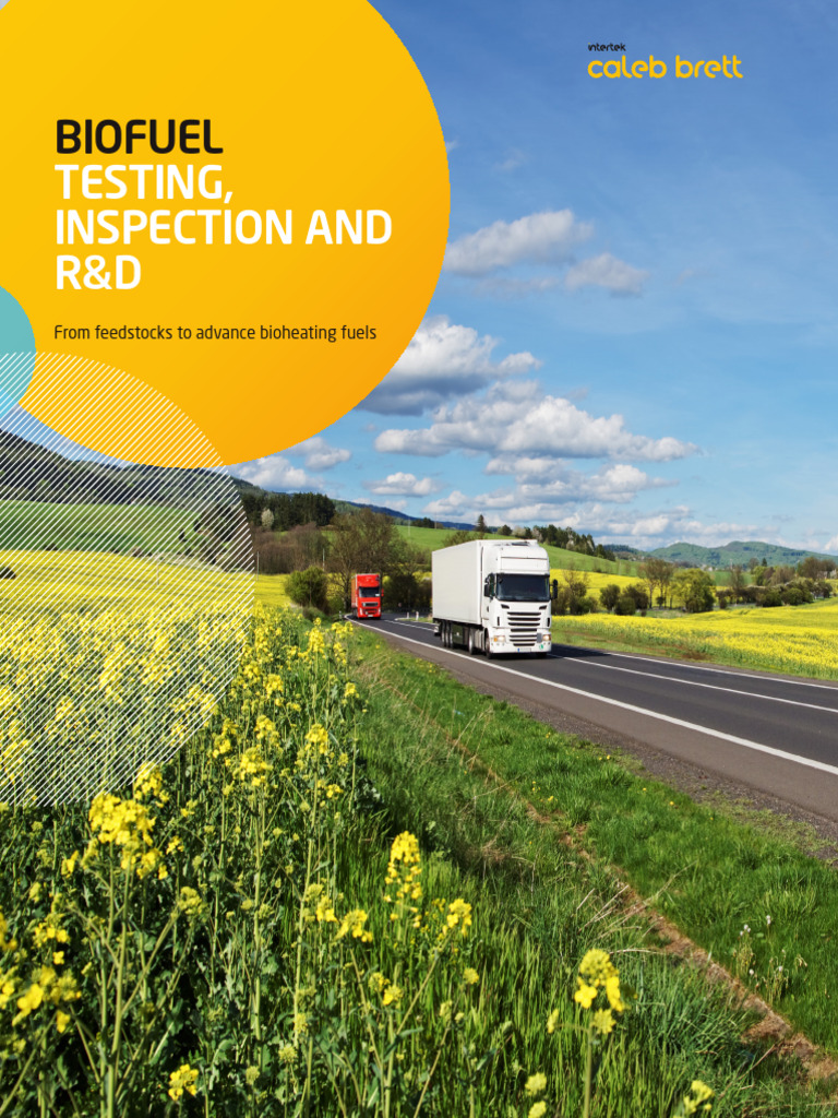 BR CB Biofuels Us-Ltr 2020 | PDF | Biofuel | Fuels