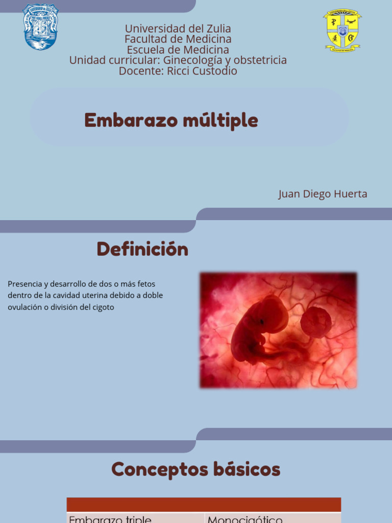 Embarazo Múltiple JH | PDF | El embarazo | Nacimientos Múltiples