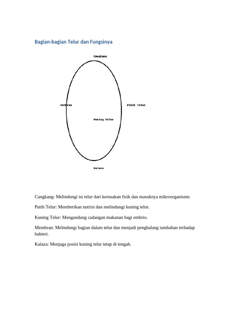 Bagian Telur Dan Fungsinya TNR | PDF