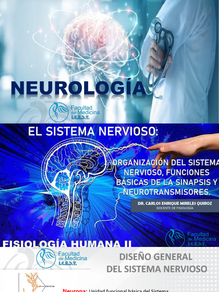 Cap 46 Organización Del Sistema Nervioso, Funciones Básicas de La Sinapsis y Neurotransmisores-1 ...