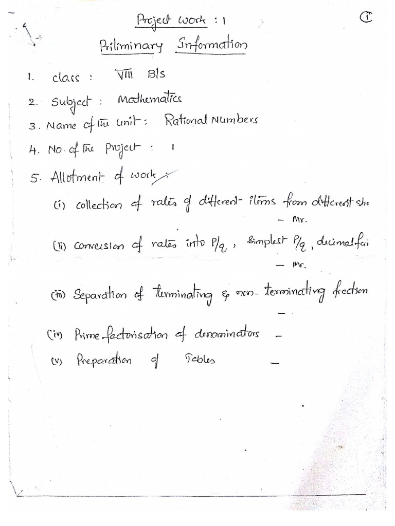 8th Grade Maths Project on Rational Numbers | PDF