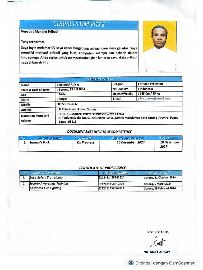 Cv. Nataniel Abisay | PDF