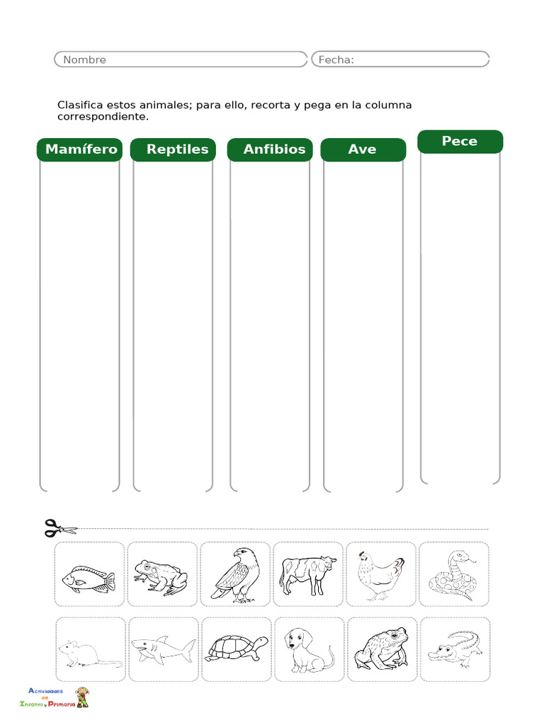 Clasificación de Animales | PDF