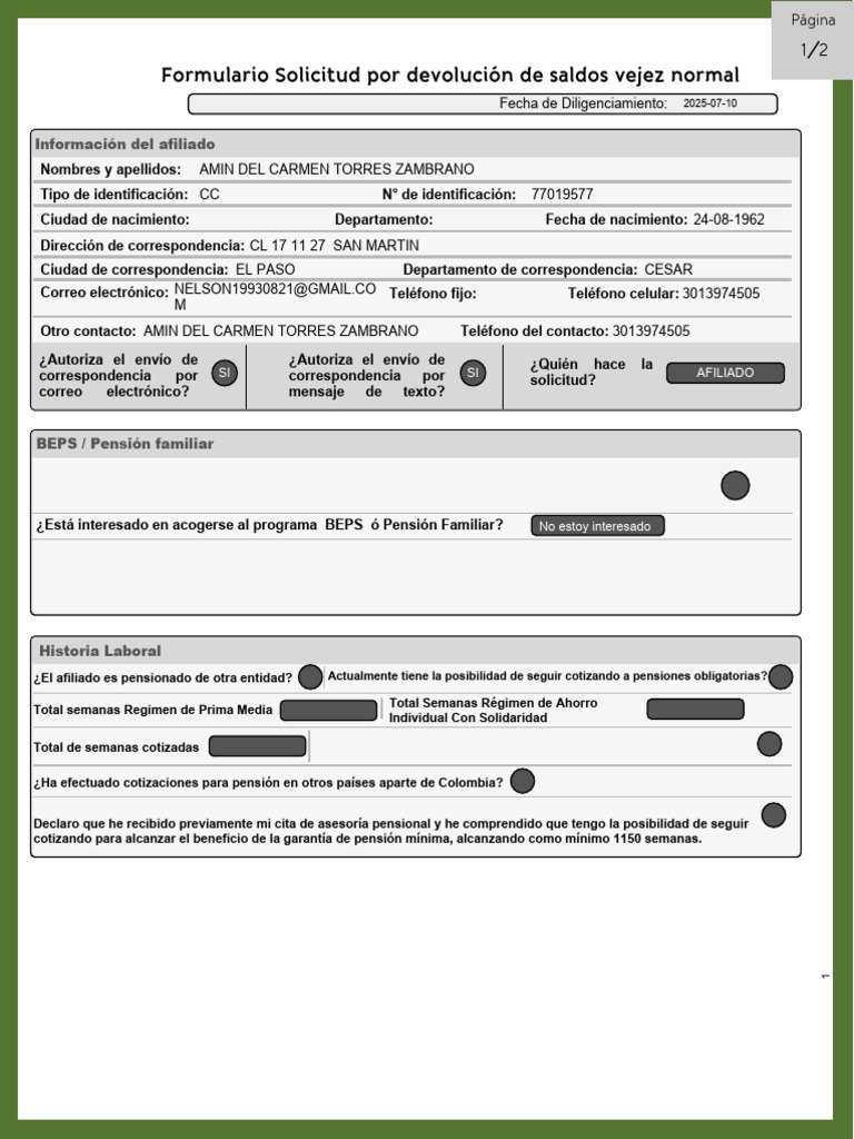 Formulario Solicitud | PDF | Pensión