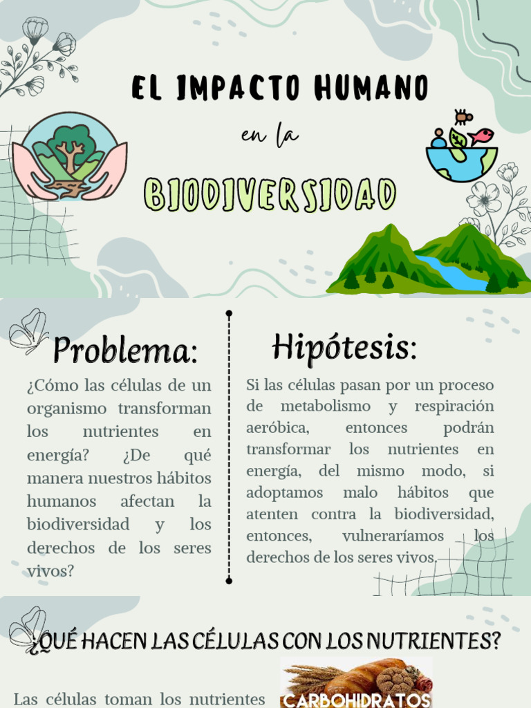 Bio Divers I Dad | PDF | Nutrientes | Fotosíntesis