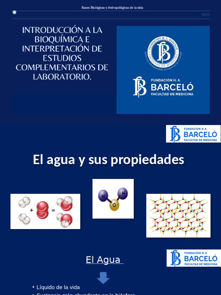 Agua. Propiedades. Funciones. Distribución. | PDF | Propiedades del agua | Enlace químico