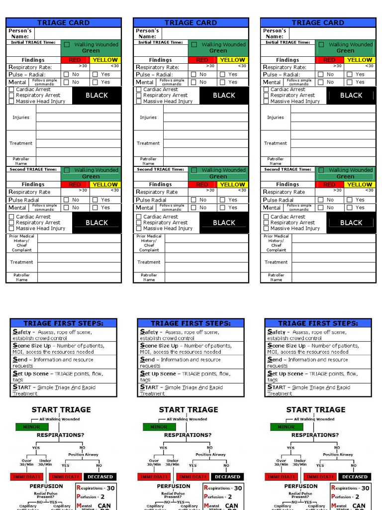 Triage Card Template for Assessment | PDF
