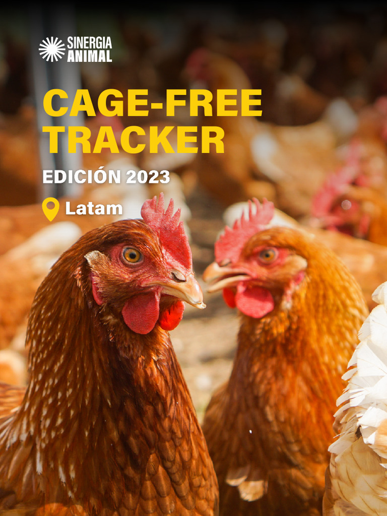 SPA - Latam - Cage-Free Tracker Report | PDF | America latina | Al por ...