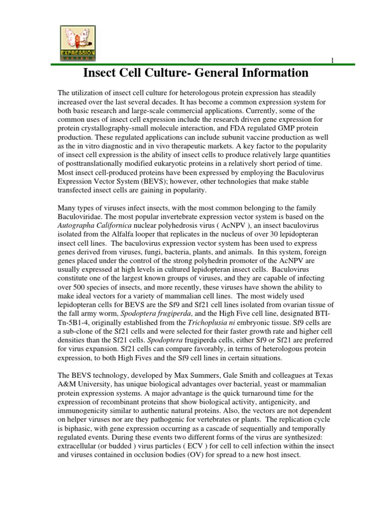Insect Cell Culture | PDF | Cell Culture | Virus
