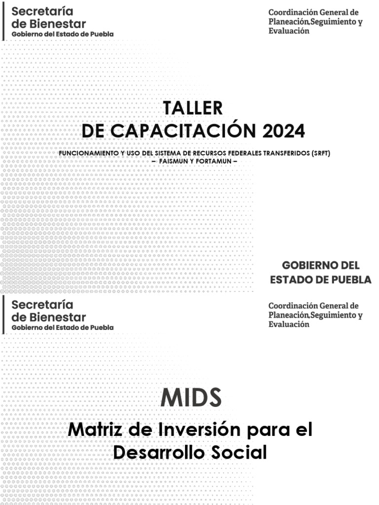 SRFT y Mids | PDF | Inversiones