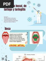 FARINGE y LARINGE - Anatomía II, Veterinaria | PDF | Laringe ...