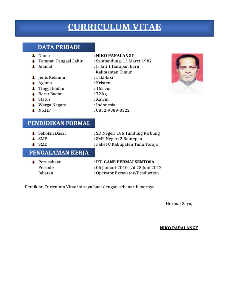 Curriculum Vitae Baru Niko Papalangi' | PDF