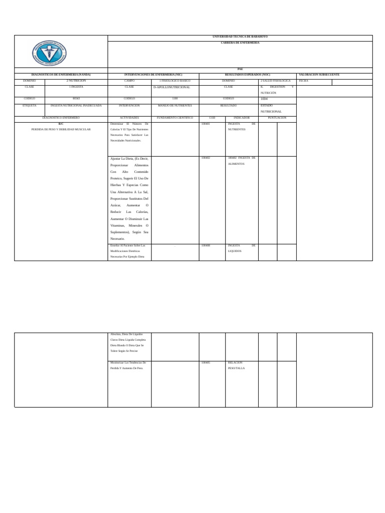 Pae 2 Plan de Cuidado | PDF | Dieta | Nutrición
