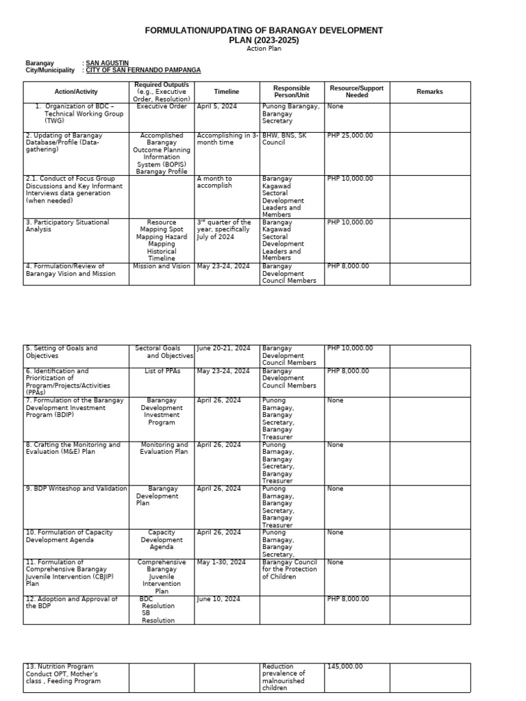 BDP Action Plan 2023 2025 | PDF