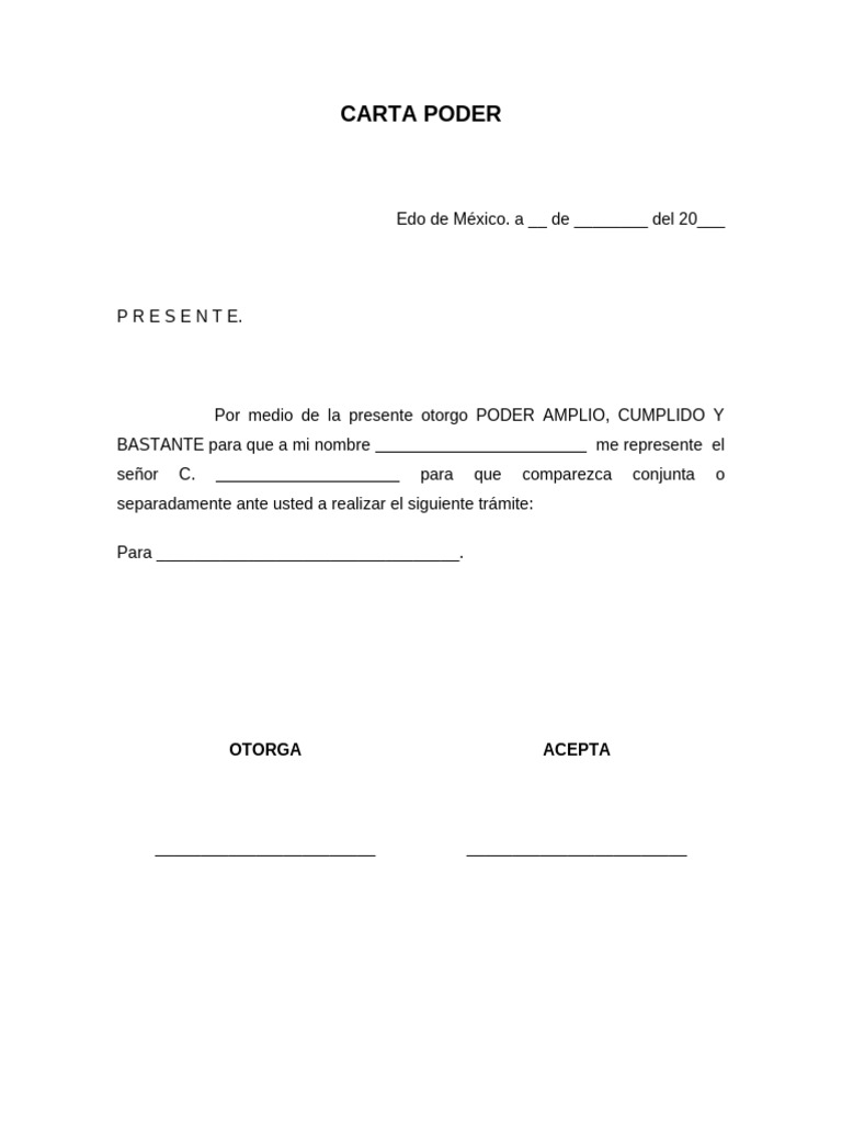 Modelo de Carta Poder Simple | PDF