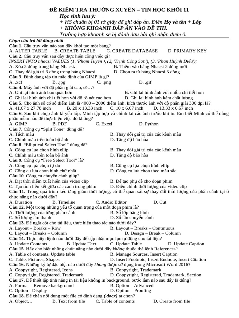 ĐỀ 1-KTTX TIN 11 | PDF