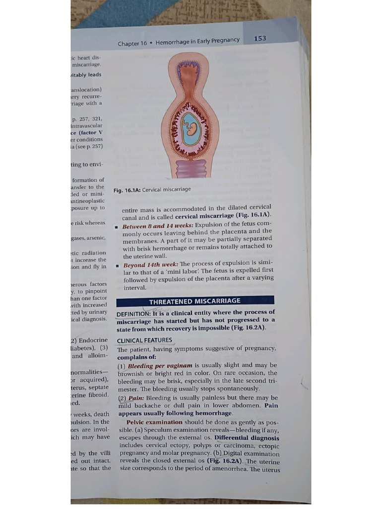 PDFGallery 20250717 064845 | PDF