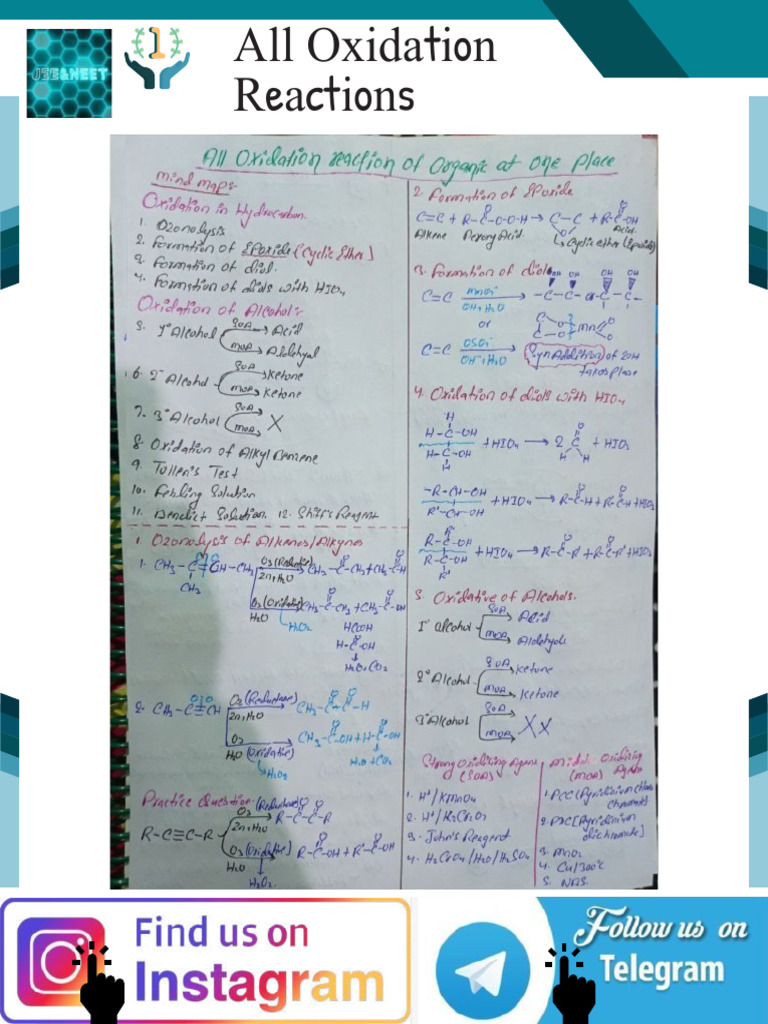 Molecular Basis of Inheritance | PDF