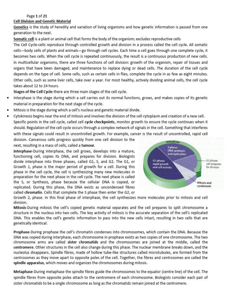 Grade 11-Cell Division and Genetic Material | PDF | Meiosis | Dominance ...