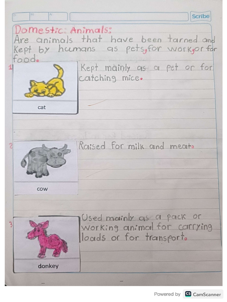 Domestic Animals | PDF