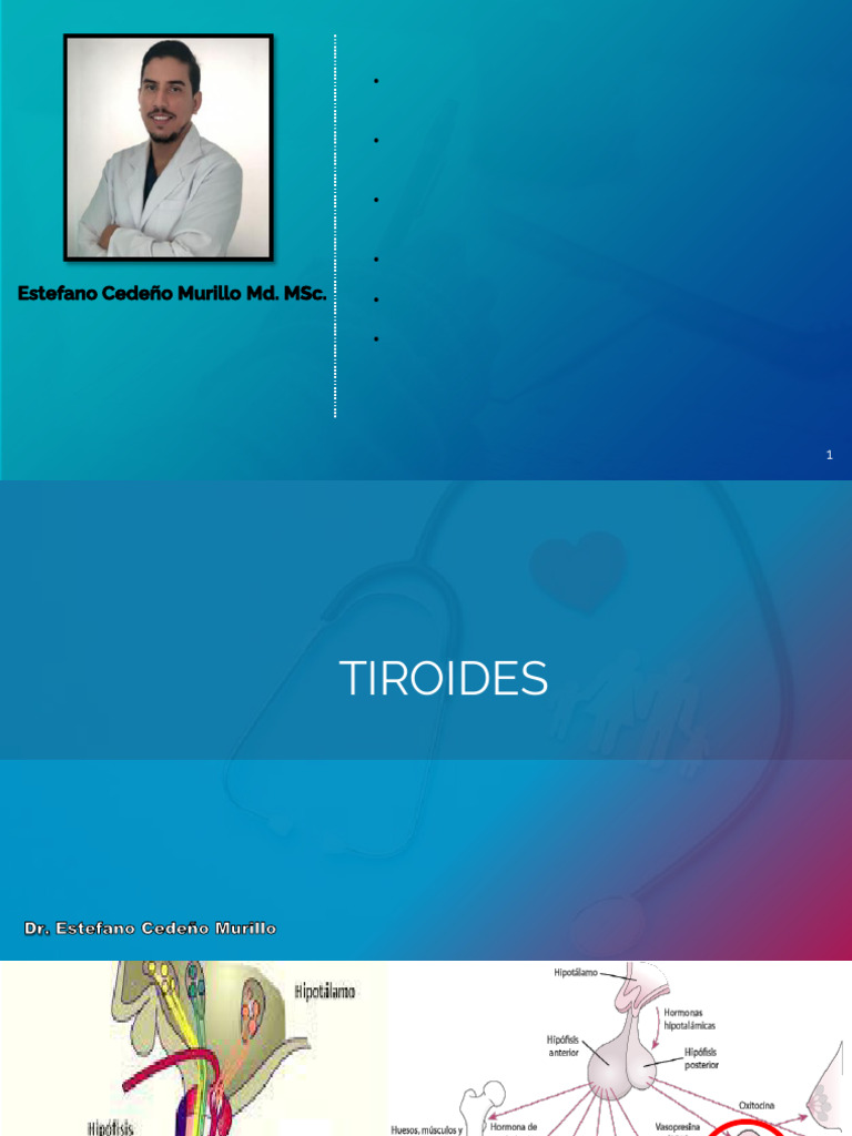 Tiroides y Adh | PDF