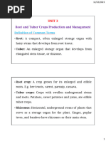 Taro Root Guide for Stardew Valley | PDF | Fruit | Vegetables