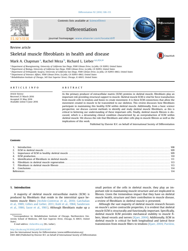 Skeletal Muscle Fibroblasts in Health and Disease | PDF | Extracellular ...