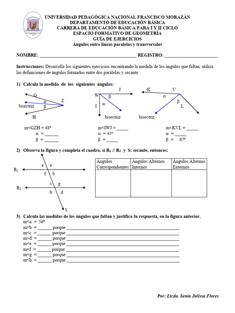 Guía de Ángulos Entre Líneas Paralelas y Transversales | PDF ...