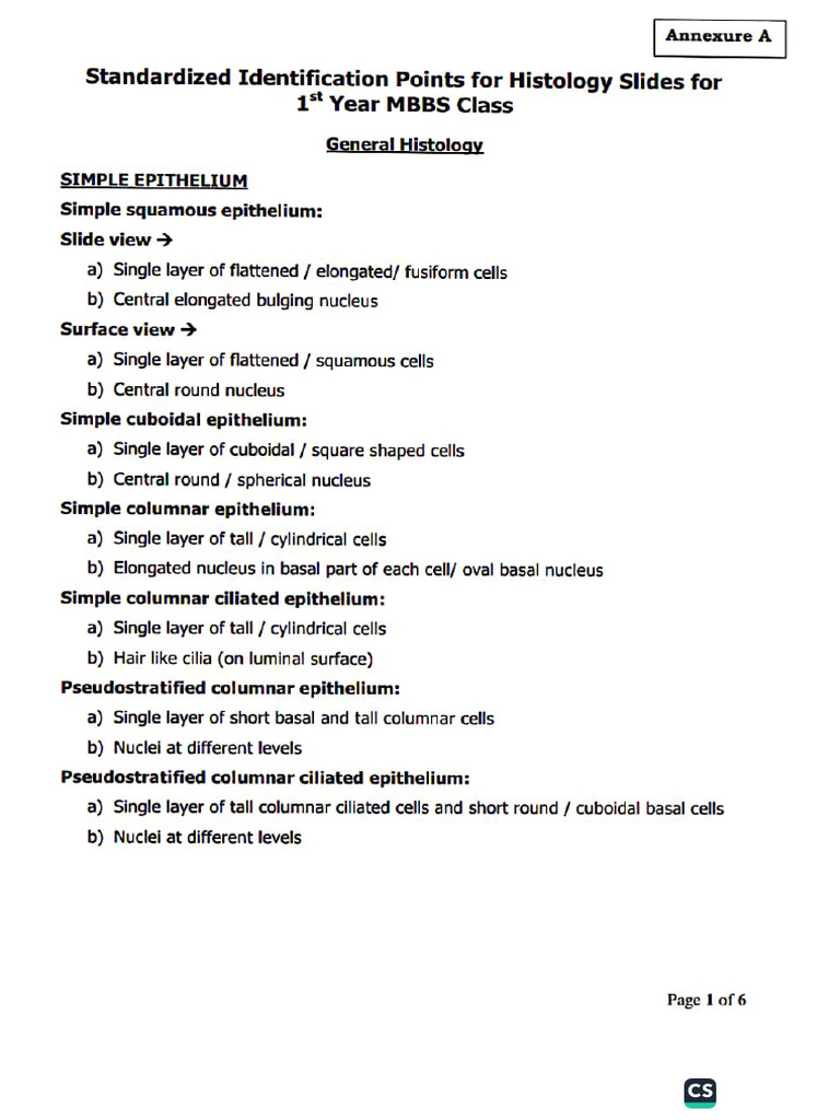Identification Points of Histology | PDF