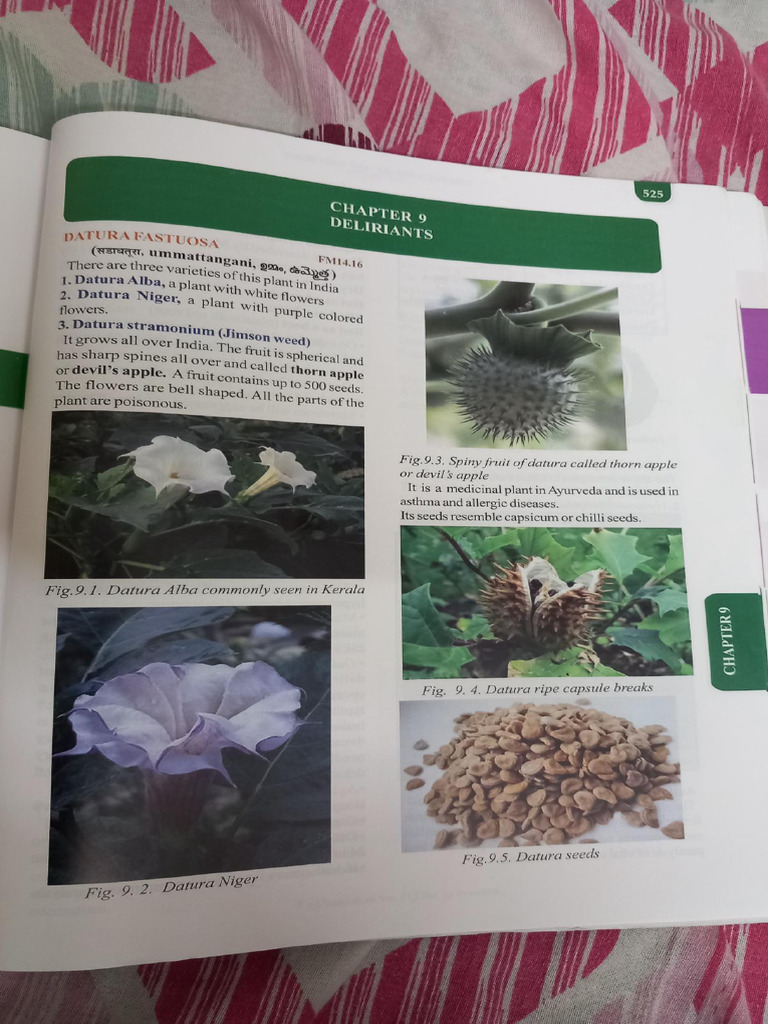 Deliriants, Cerebral Stimulants, Somniferous, Sedative and Hypnotics ...