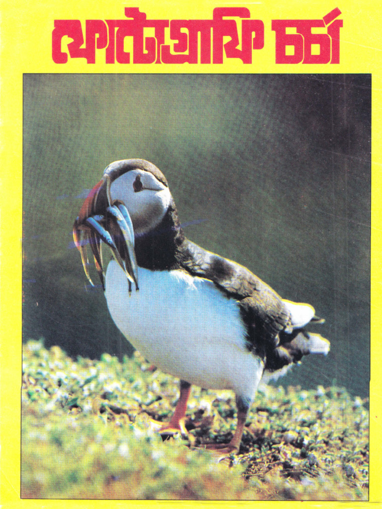 Photography Charcha | PDF