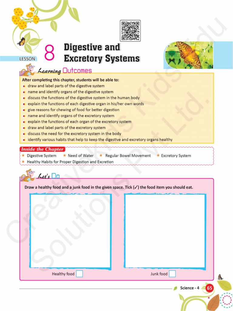 Science 8 Digestive and Excretory Systems | PDF