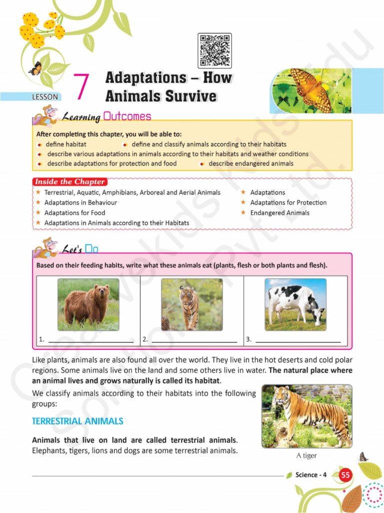 Science 7 Adaptions-How Animals Survive | PDF