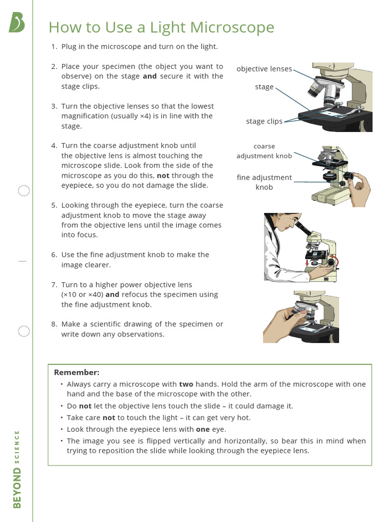 Steps for Using a Light Microscope | PDF