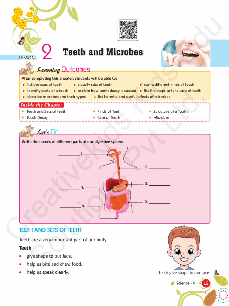 Science 2 Teeth and Microbes | PDF