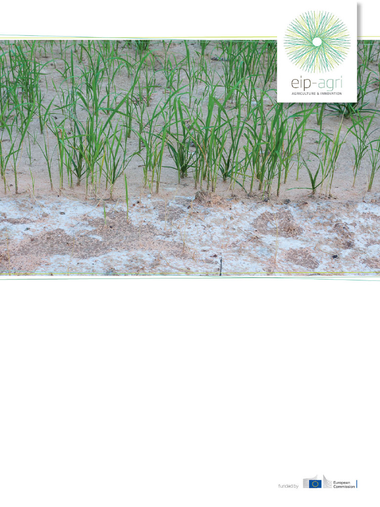 Minipaper Preventinomitigationadaptation Salinity Soils 2020 en (C5 ...