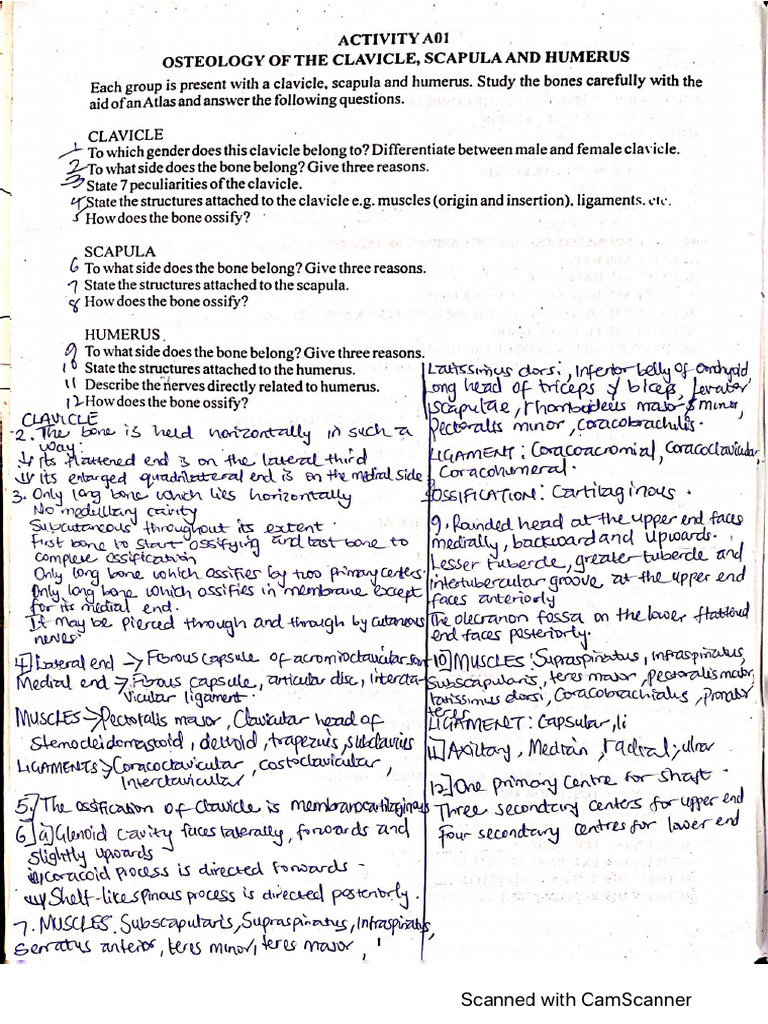 Gross Anatomy Manual | PDF