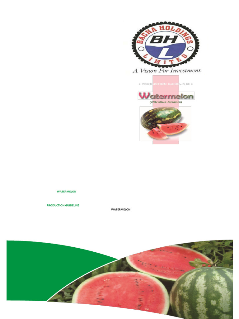 Watermelon Production Guideline 2018 by BHL | PDF | Watermelon | Botany