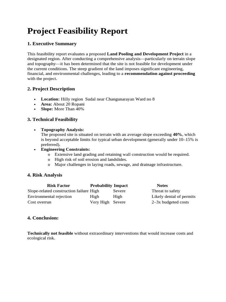 Project Feasibility Report | PDF