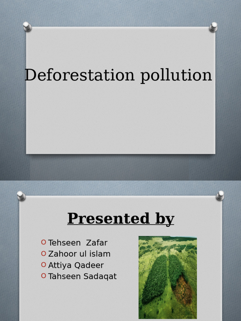 Deforestation Pollution | PDF | Deforestation | Soil