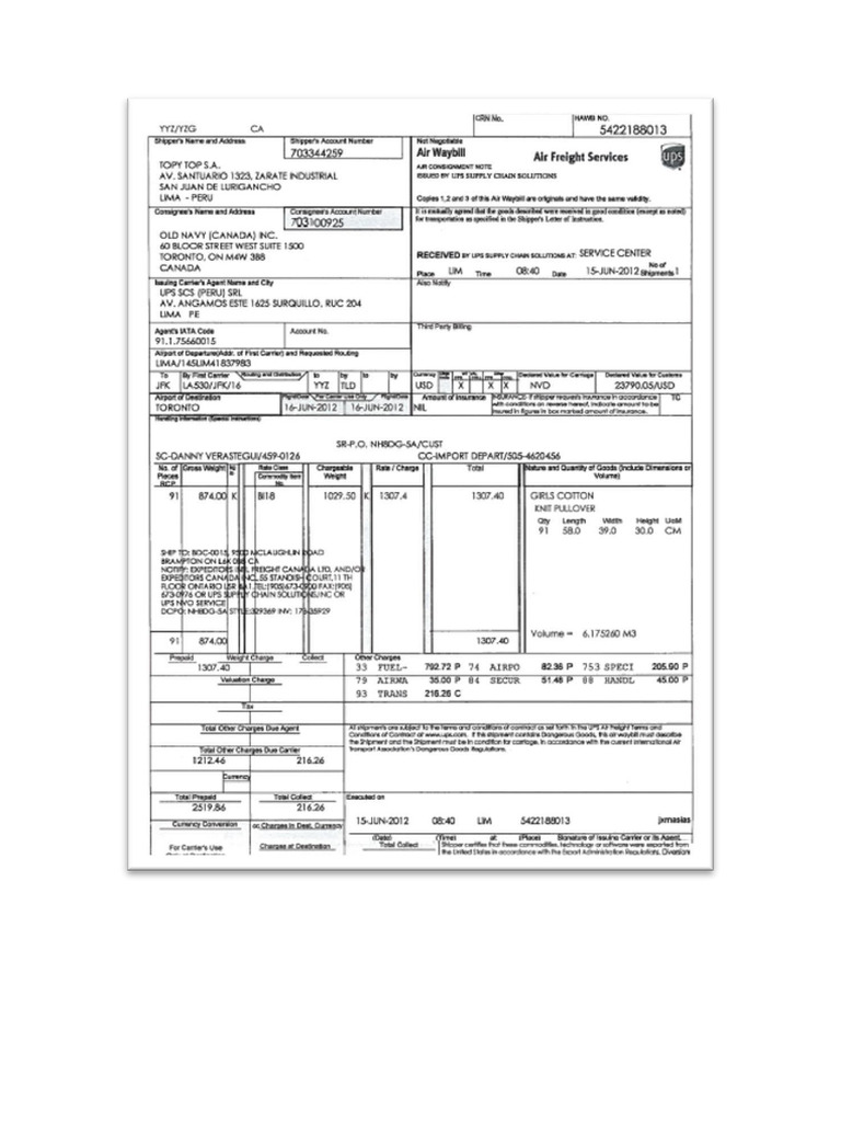 Modelo de Air Way Bill | PDF