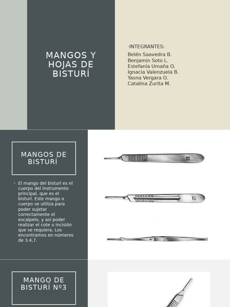 Mangos y Hojas de Bisturí: Tipos y Usos | PDF