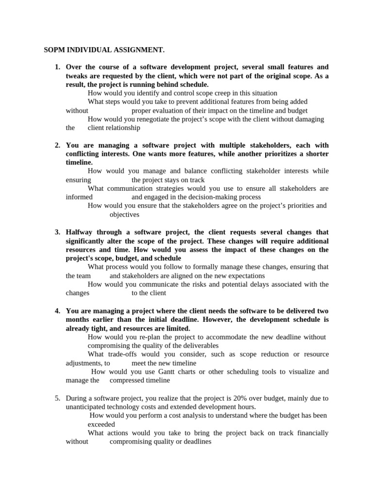 SOPM1 Individual Assignment | PDF | Budget | Software