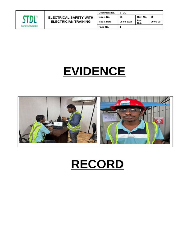 Electrical Safety With Electrician | PDF