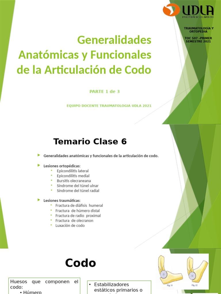 Generalidades Codo - Parte 1 | PDF | Codo | Sistema musculoesquelético