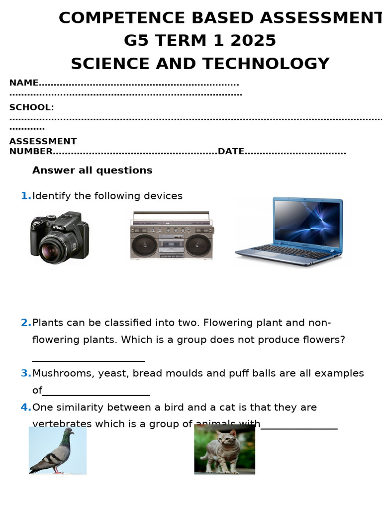 Grade 5 Science Assessment 2025 | PDF | Common Cold