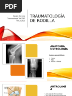 Liberacion Retinaculo Rodilla | PDF | Rodilla | Sistema musculoesquelético