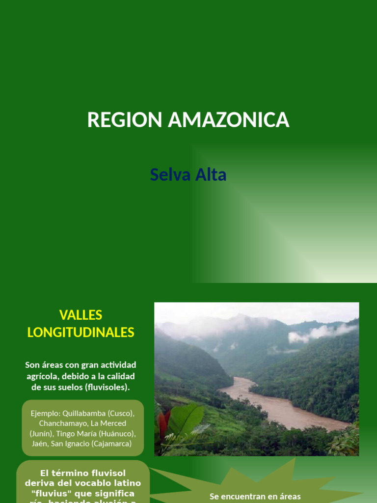 REGION AMAZONICA | PDF