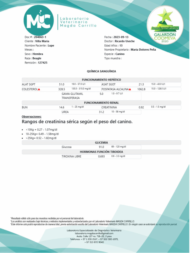 Villa Maria Lupe Química Sanguínea Doc 204063 1 | PDF