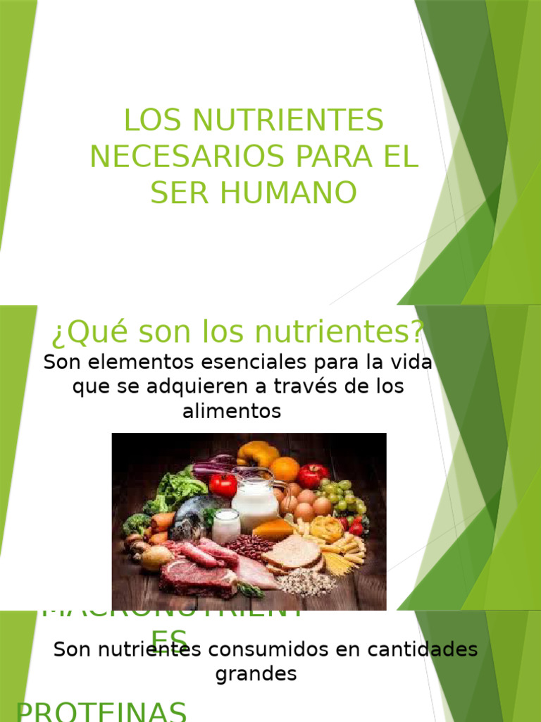 Los Nutrientes Necesarios para El Ser Humano | PDF